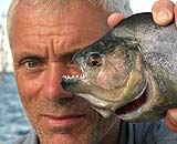 Animal Planet presenta Monstruos de río - PRODU