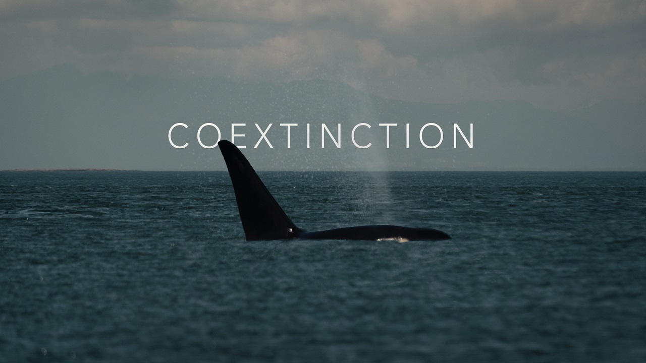 Coextinction - PRODU