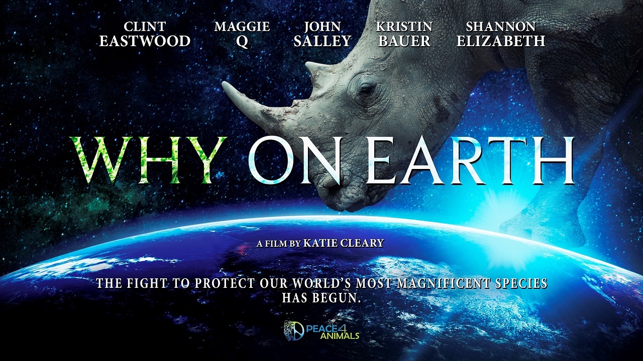 Why on Earth - PRODU